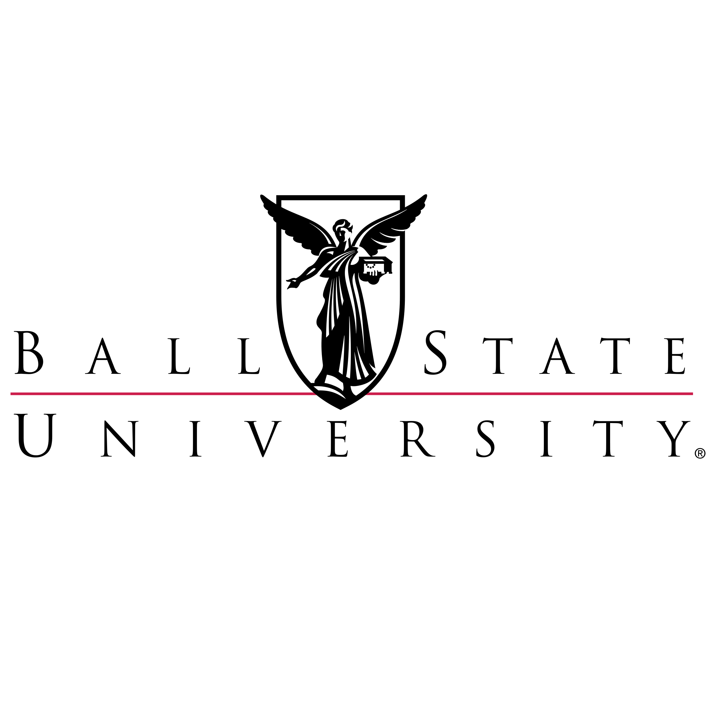 Ball State University | IEE